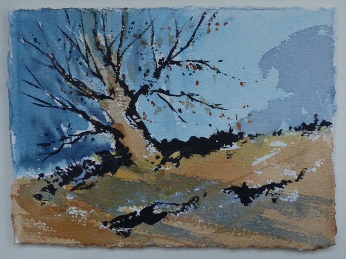 Autumn Winds | The Stephen Martyn blog